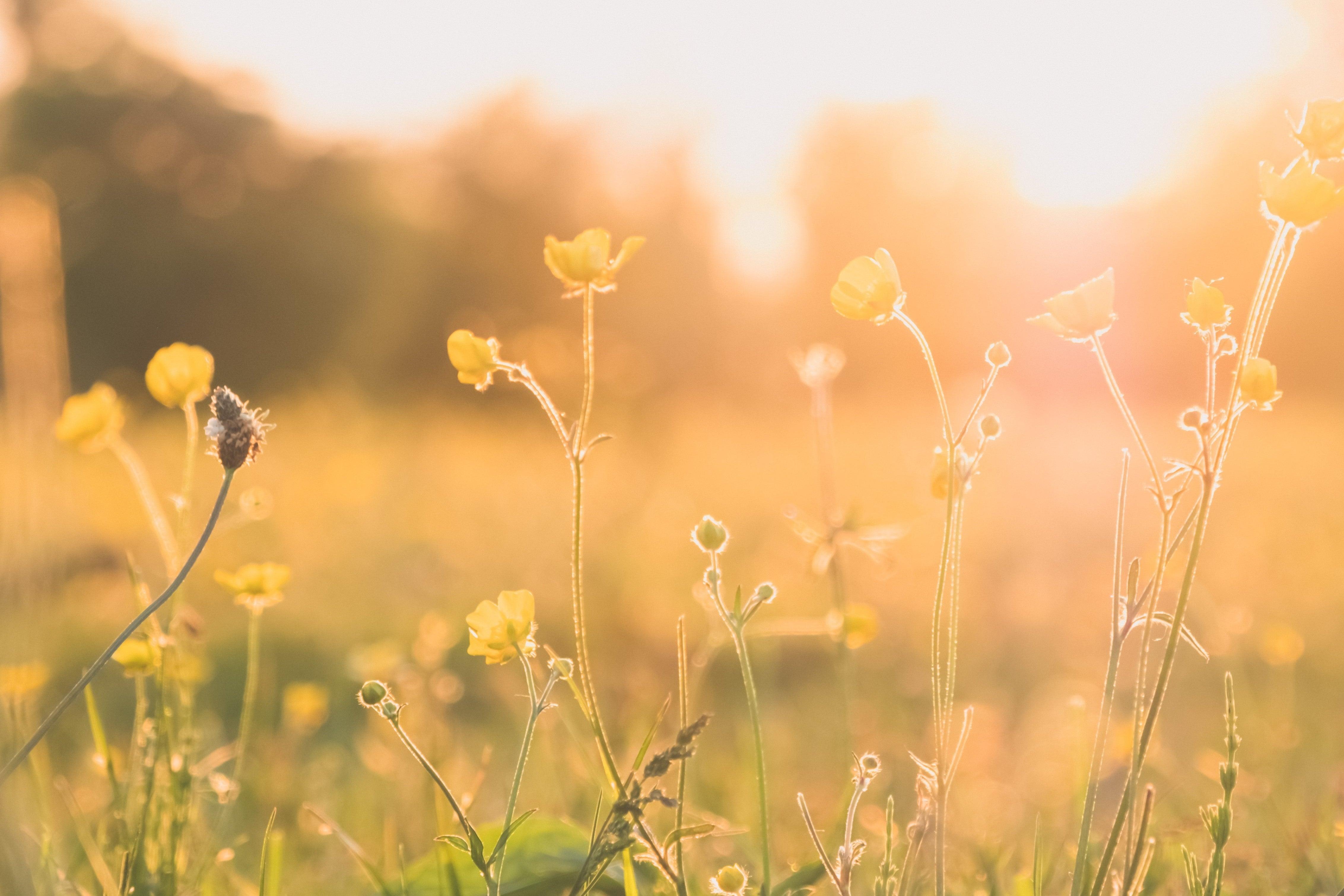 Celebrating Diversity: Easter, Ramadan, and Passover – Euro Ceramica